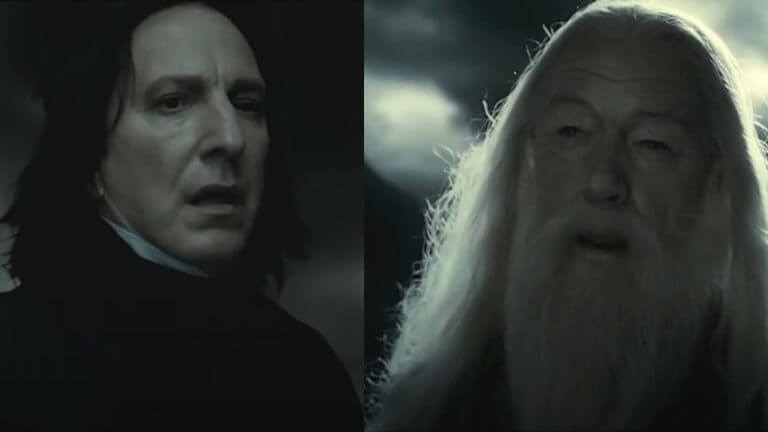 Why Does Snape Kill Dumbledore In The Harry Potter Series? – The Jeep Diva